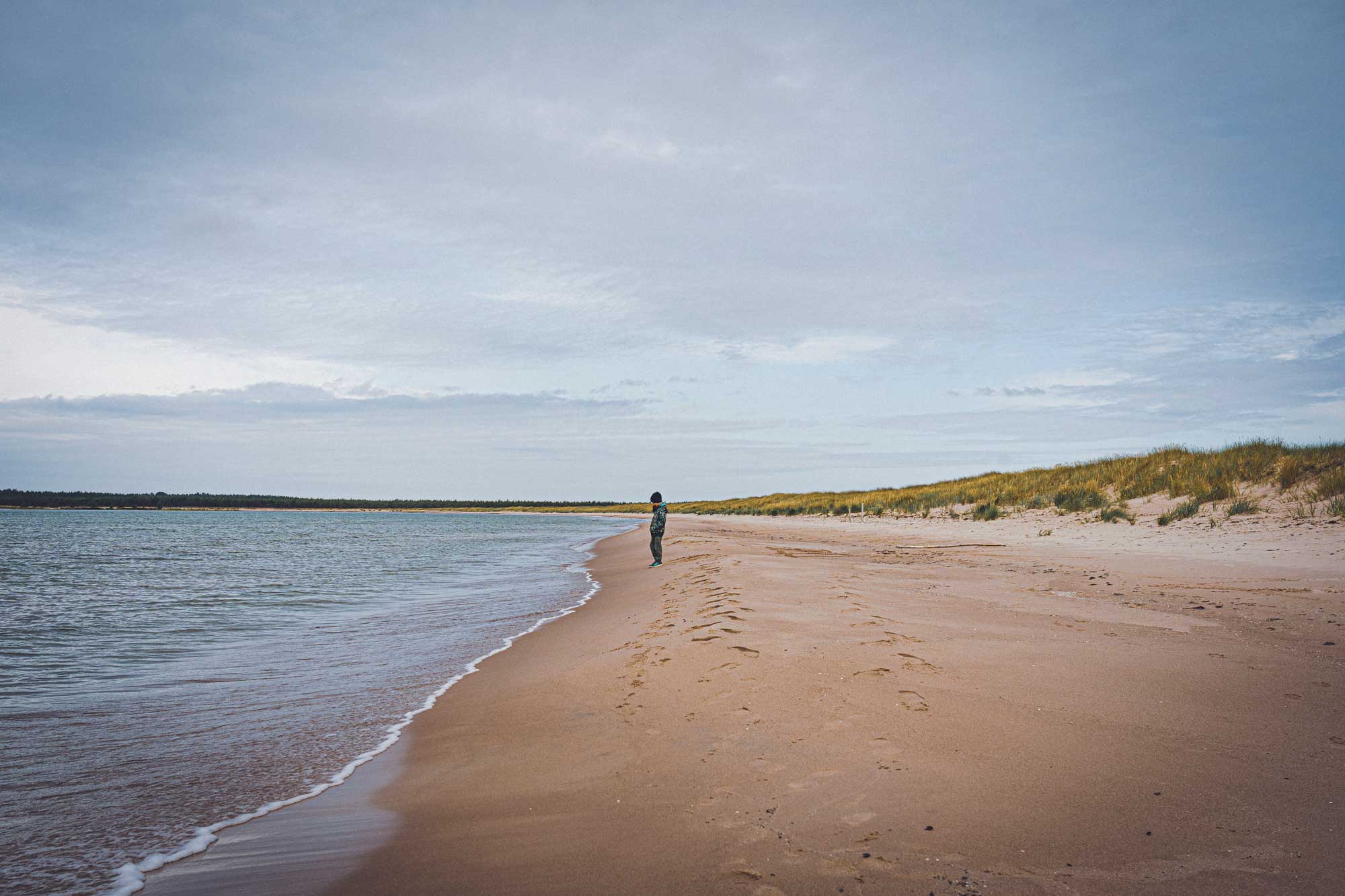 Avasta meie lähedal - Pidula Forell